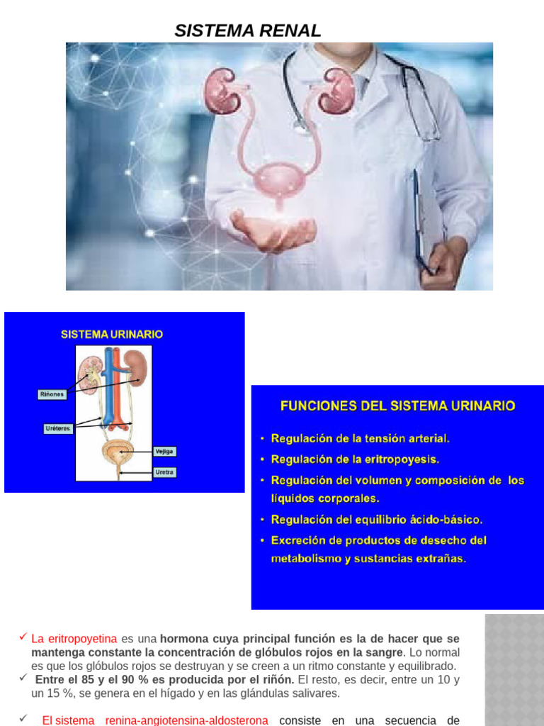 Semiologia - Sepsis Urinaria | PDF | Infección del tracto urinario ...