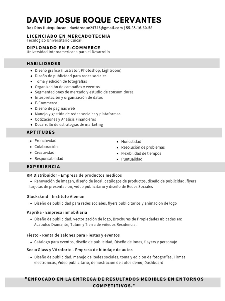 CV David Cervantes | PDF