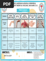 Hand of Benediction What Is It, Causes, and More Osmosis | PDF | Hand ...
