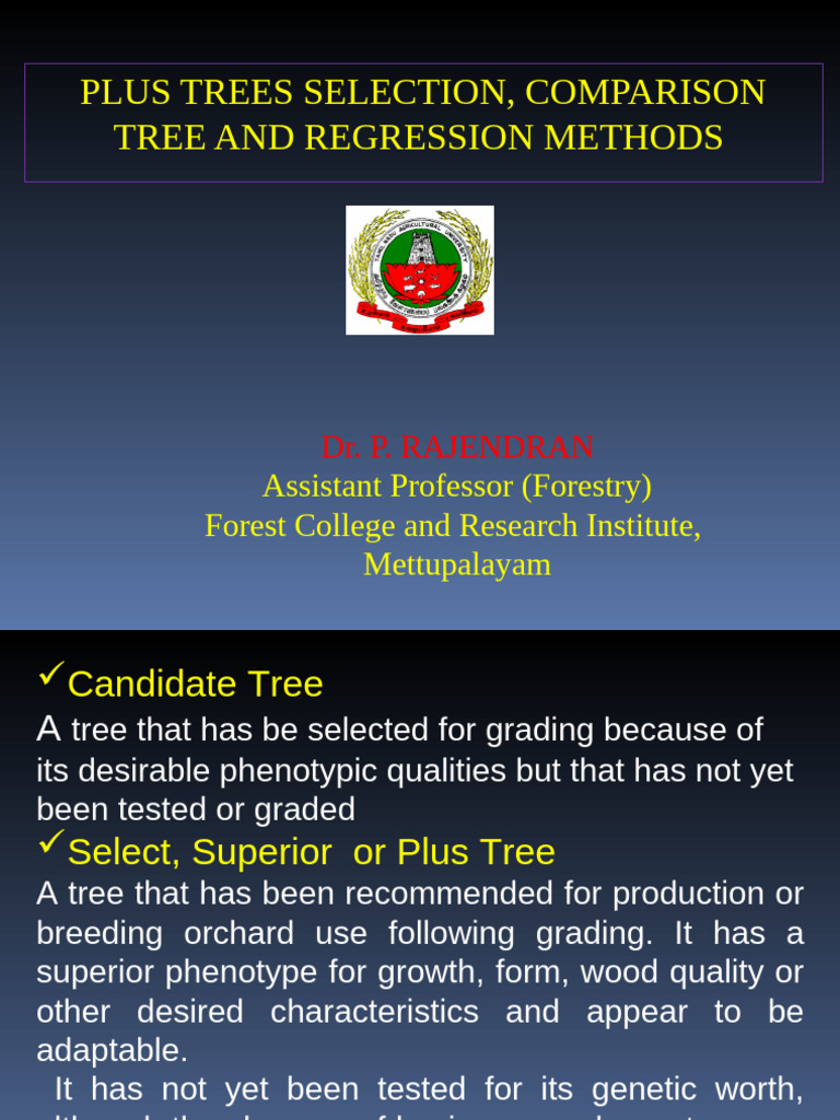 Plus Tree Selection - P& T-1 | PDF | Trees | Wood