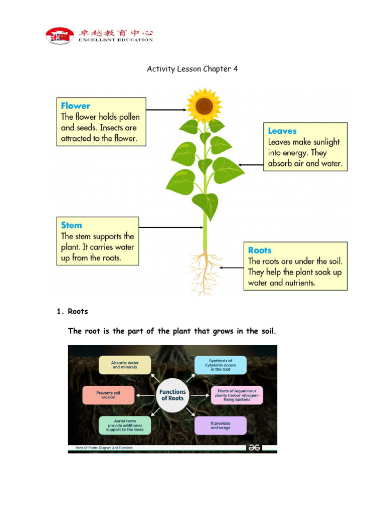 Activity Lesson Chapter 4 | PDF