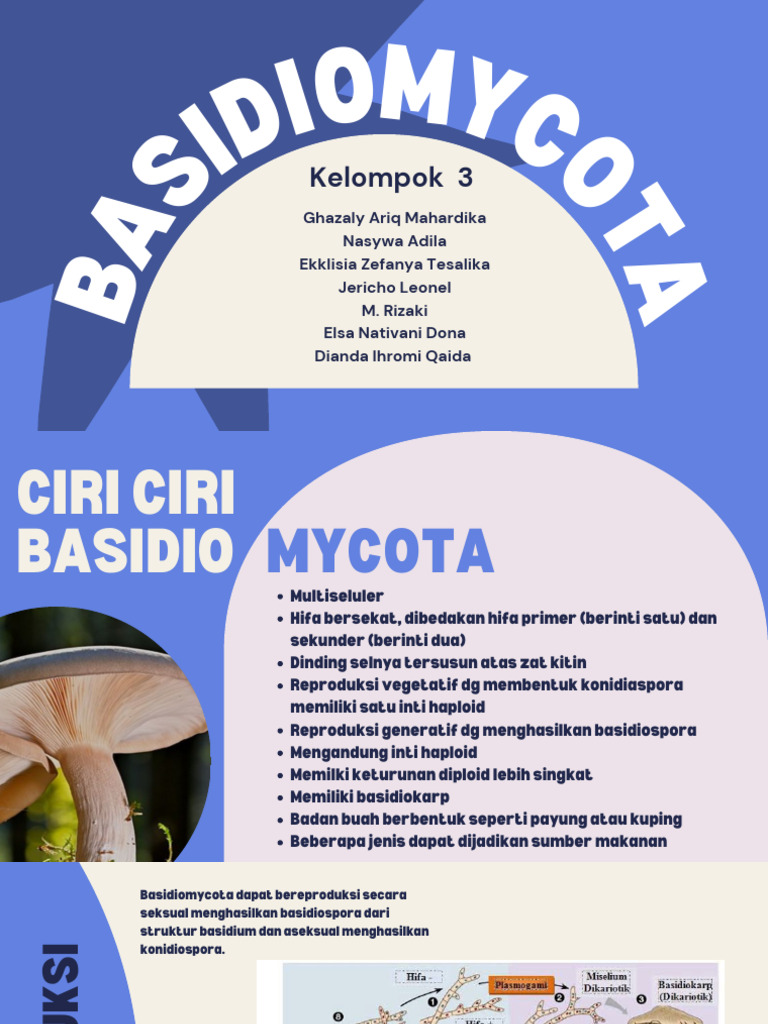 Basidiomycota | PDF