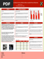 Wall Art Generator - Rasterbator | PDF