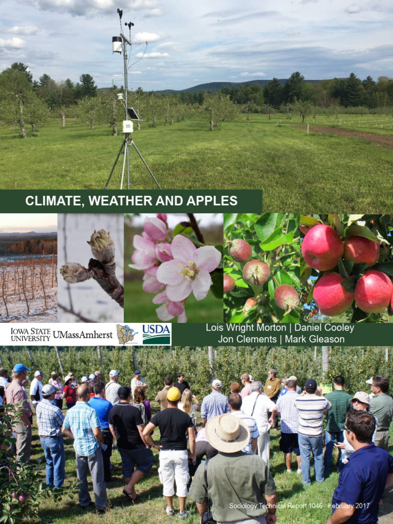 Climate, Weather and Apples_0 | PDF | Drought | Agriculture