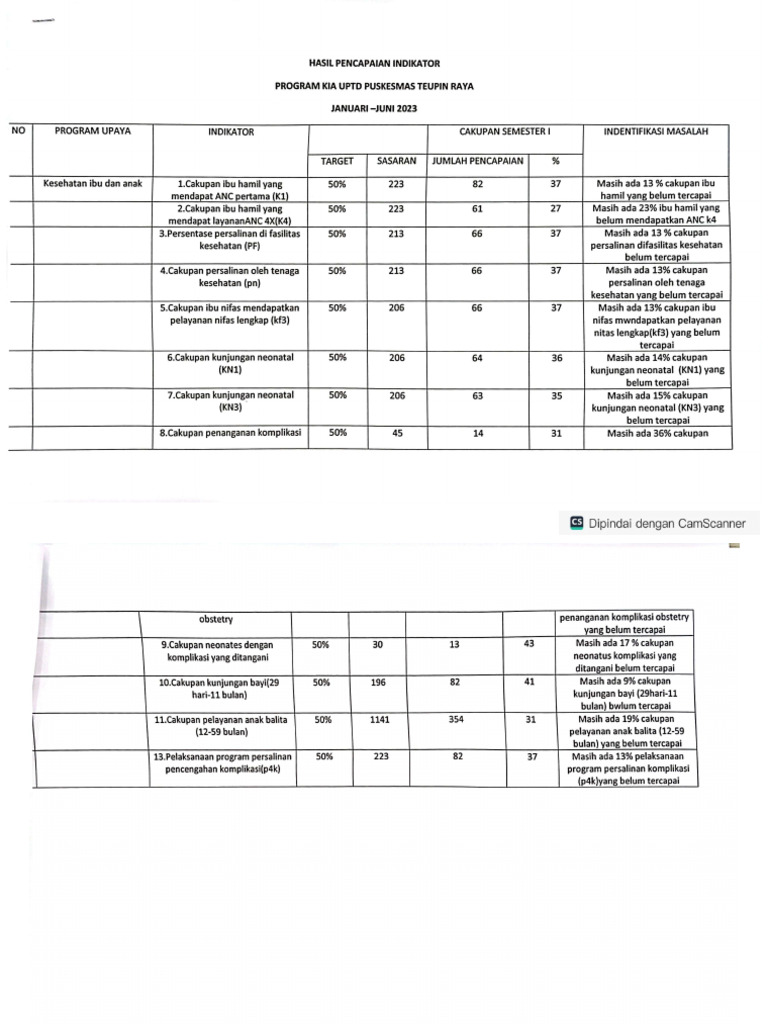 Capaian Indikator | PDF