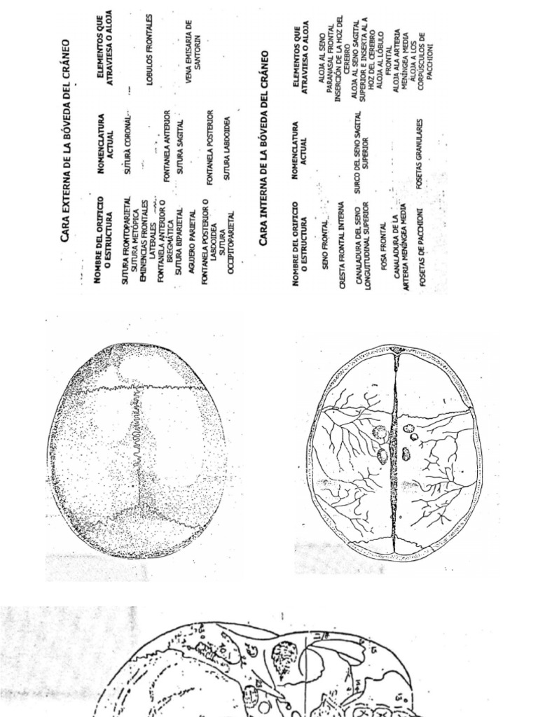 Esquemas | PDF