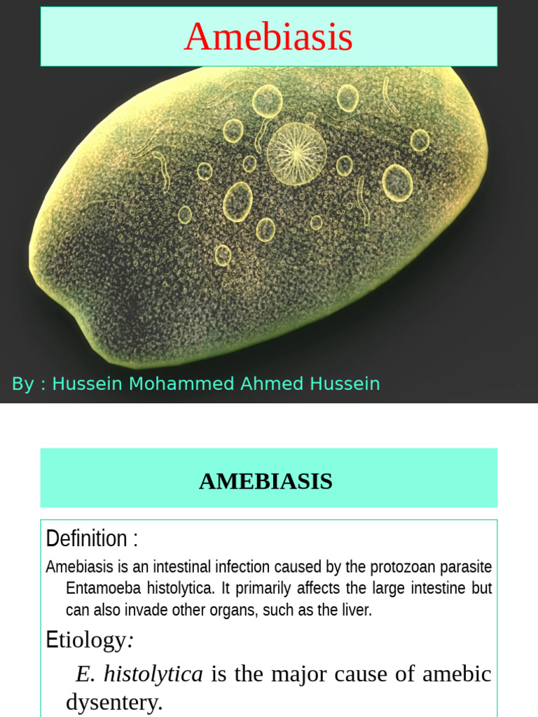 Amebiasis - Hussein Mohammed Ahmed Hussein | PDF | Diarrhea | Human ...