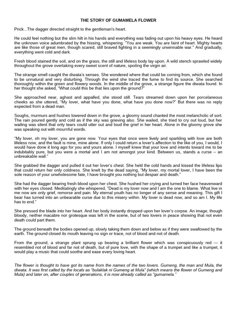 The Story of Gumamela Flower | PDF