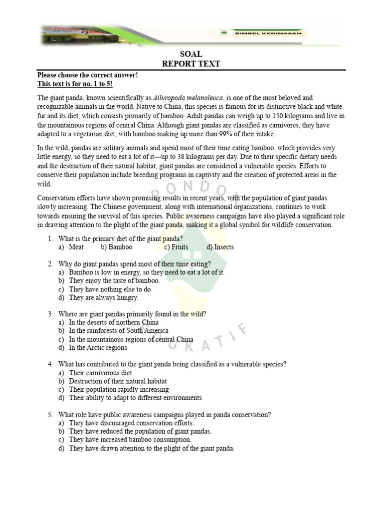 Report Text Pdf Giant Panda Mount Everest