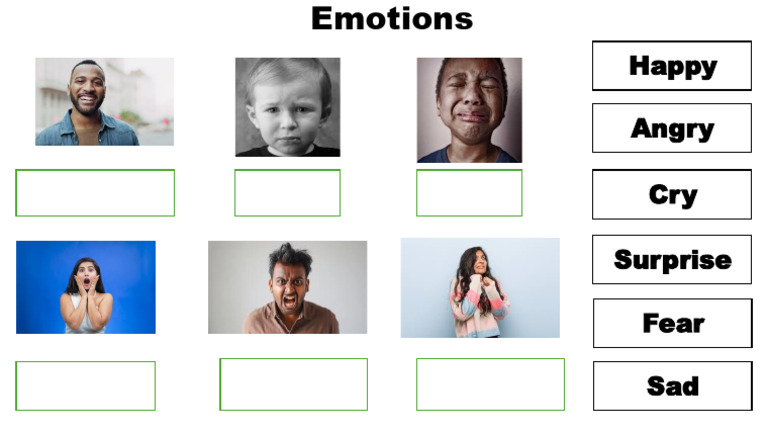 Understanding Basic Human Emotions | PDF