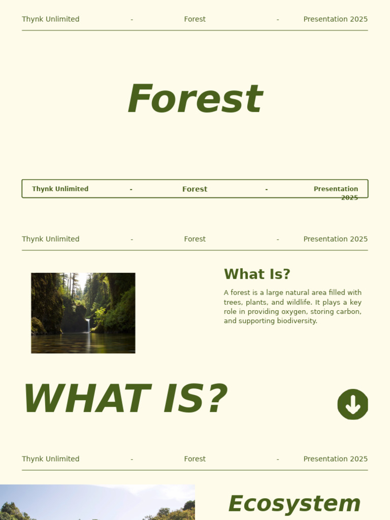 Forest Ecosystem Overview 2025 | PDF | Forests | Ecosystem