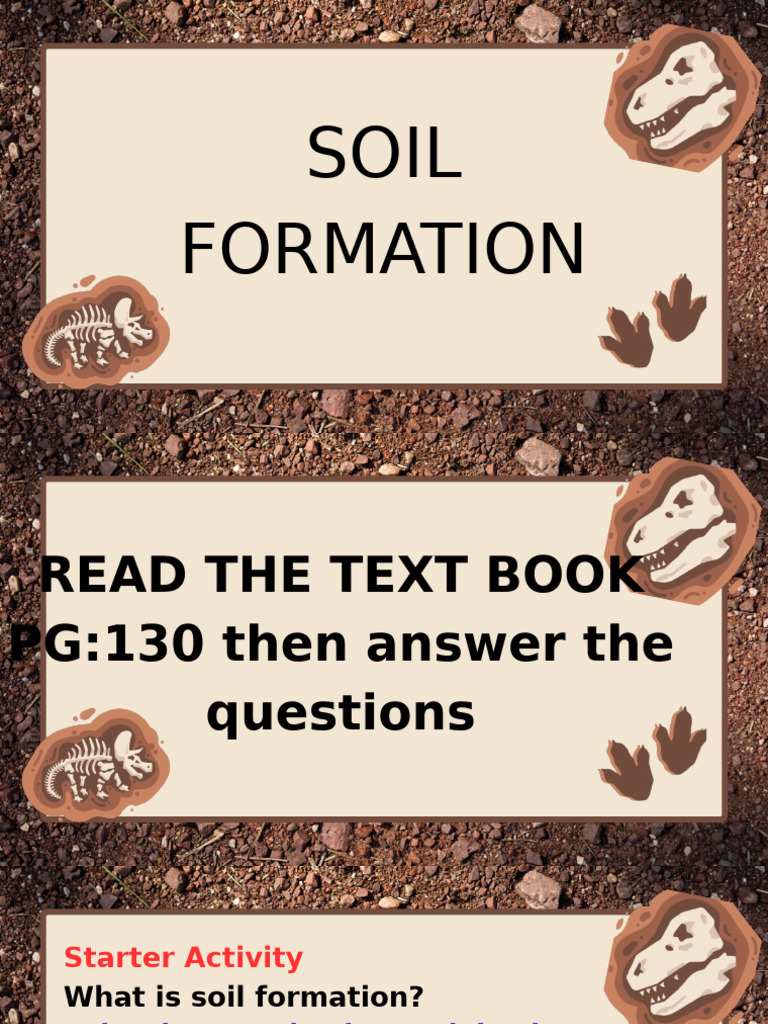 Soil Formation | PDF