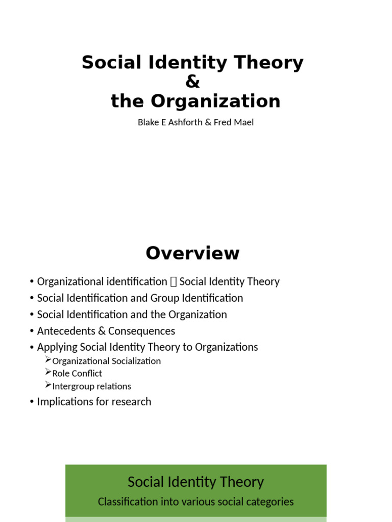 Social Identity Theory | PDF | Psychological Concepts | Social Psychology