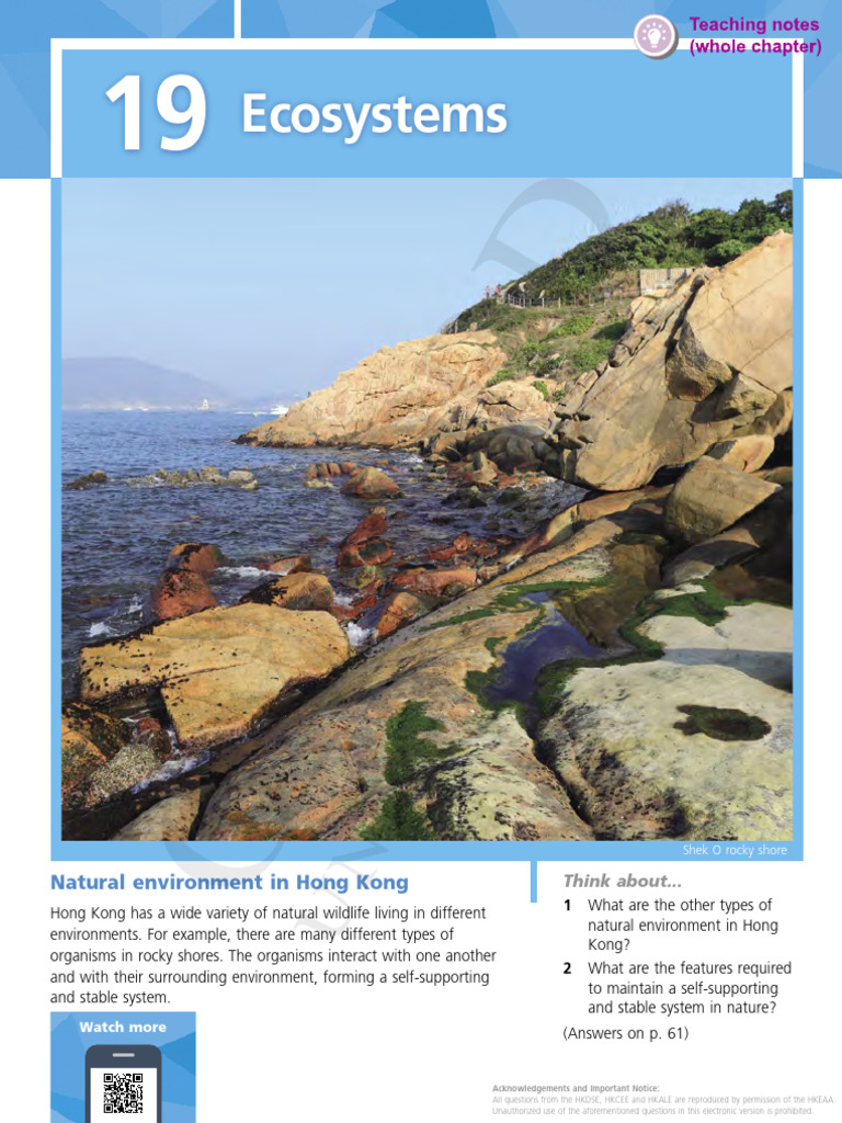 Ecosystems | PDF | Ecosystem | Soil