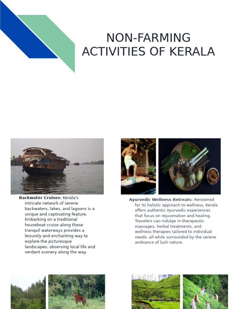 Non-farming Activities of Kerala | PDF