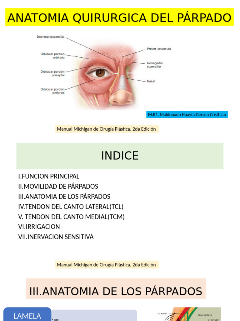 Anatomia Quirurgica Del Parpado | PDF