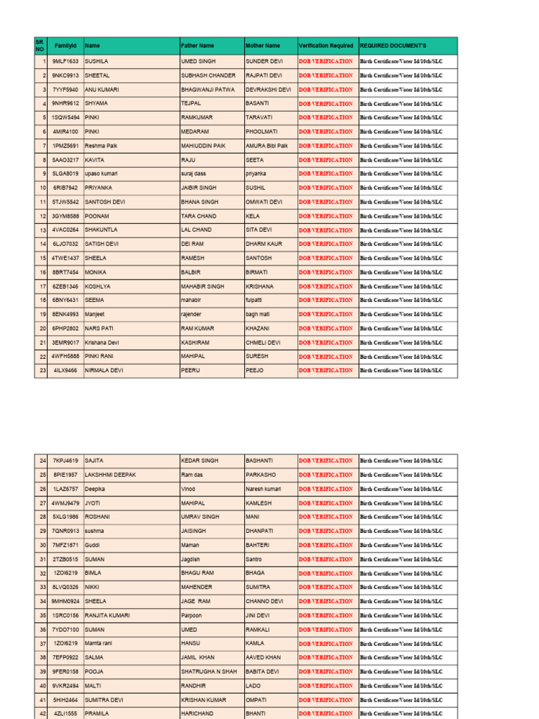 ppp verification sheet | PDF