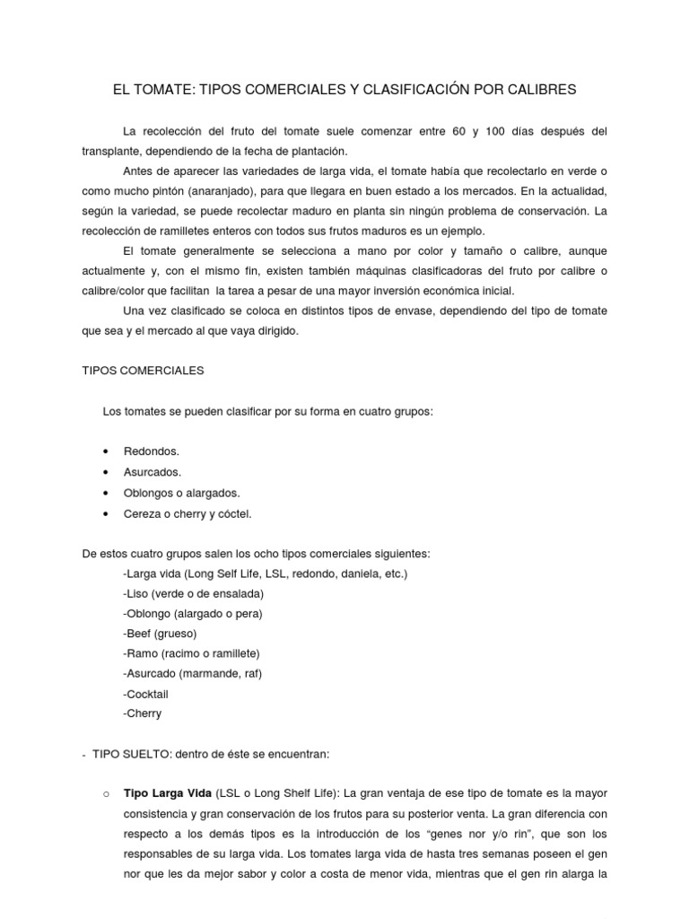 El Tomate Tipos Comer CIA Les y Clasificacion Por Calibres Definitivo ...