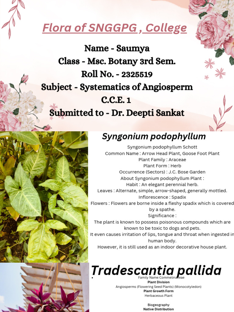 Flora of SNGGPG: Plant Observations | PDF | Leaf | Flowers