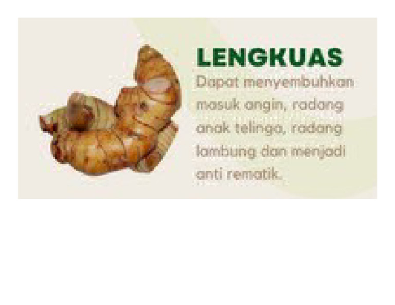 Lengkuas | PDF