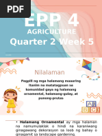EPP 4 - Q2 - Week 3 | PDF