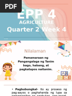 EPP5 Q2 8 Naisasagawa Ang Pag-Aalaga at Pangangasiwa NG Poultry Animals Sa Natural Na Pamamaraan ...