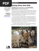 Your Goats Normal Vital Signs Fudetb | PDF | Goat | Thermoregulation