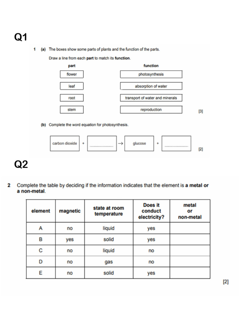 Quiz 1 Phy & Bio | PDF