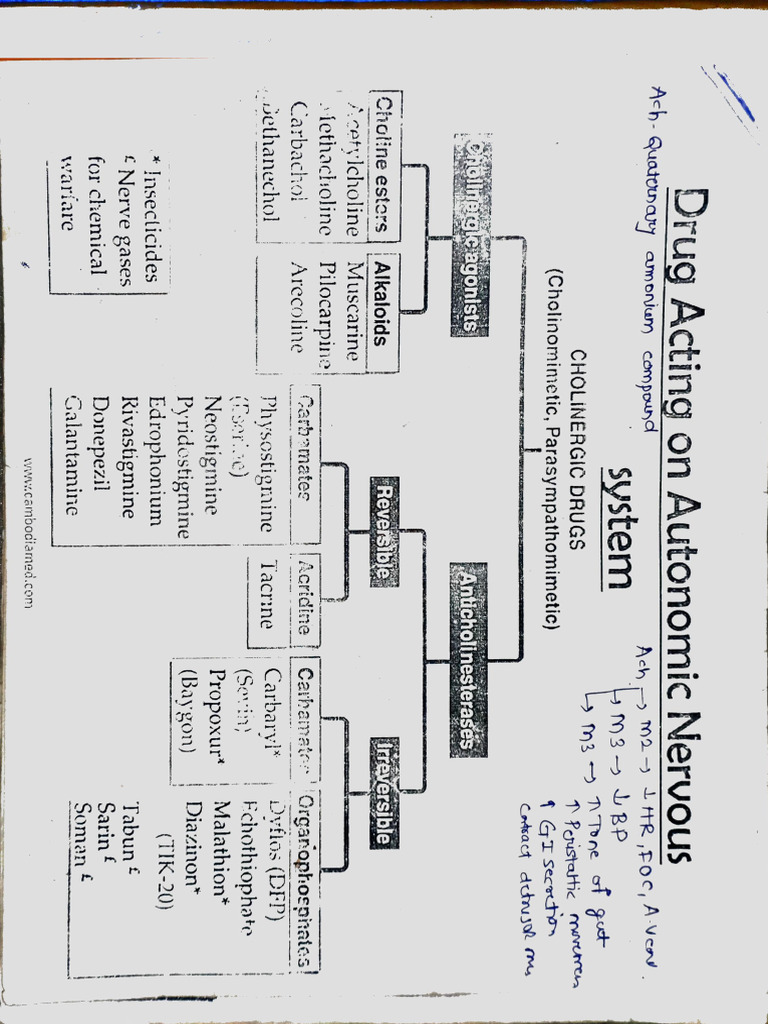 Drug Classification | PDF