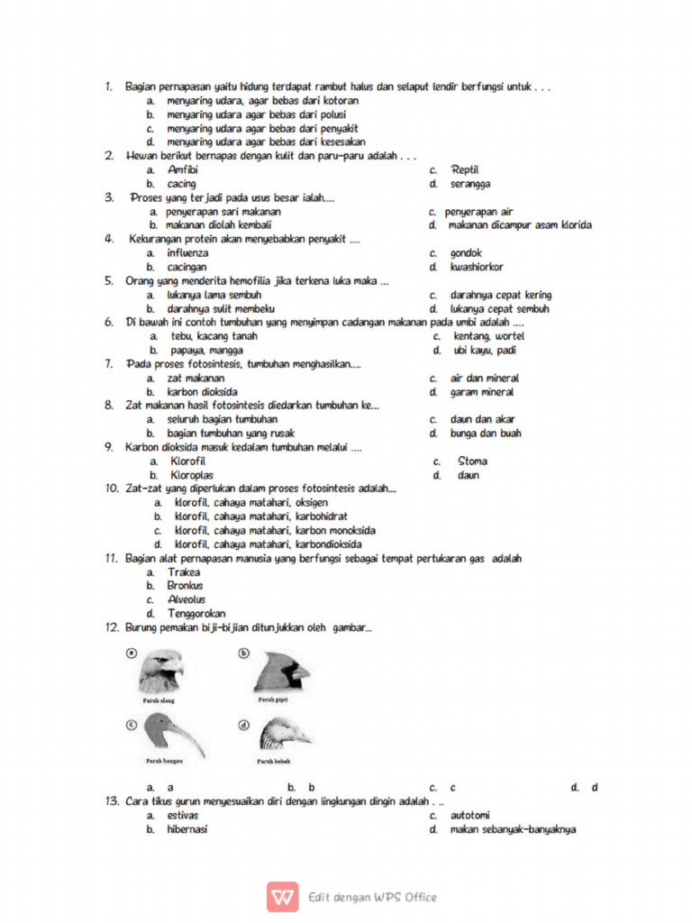 Osn Ipa Print Fix | PDF