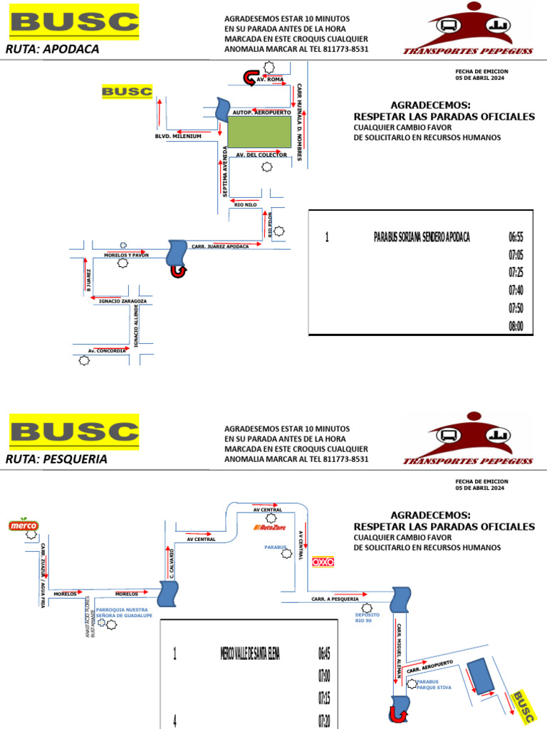 Croquis Busc Apodaca | PDF | Minoristas de alimentos