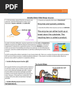 Amoeba Sisters: Video Recap Enzymes | PDF | Catalase | Enzyme