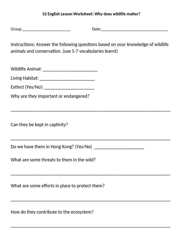 English Lesson Worksheet | PDF