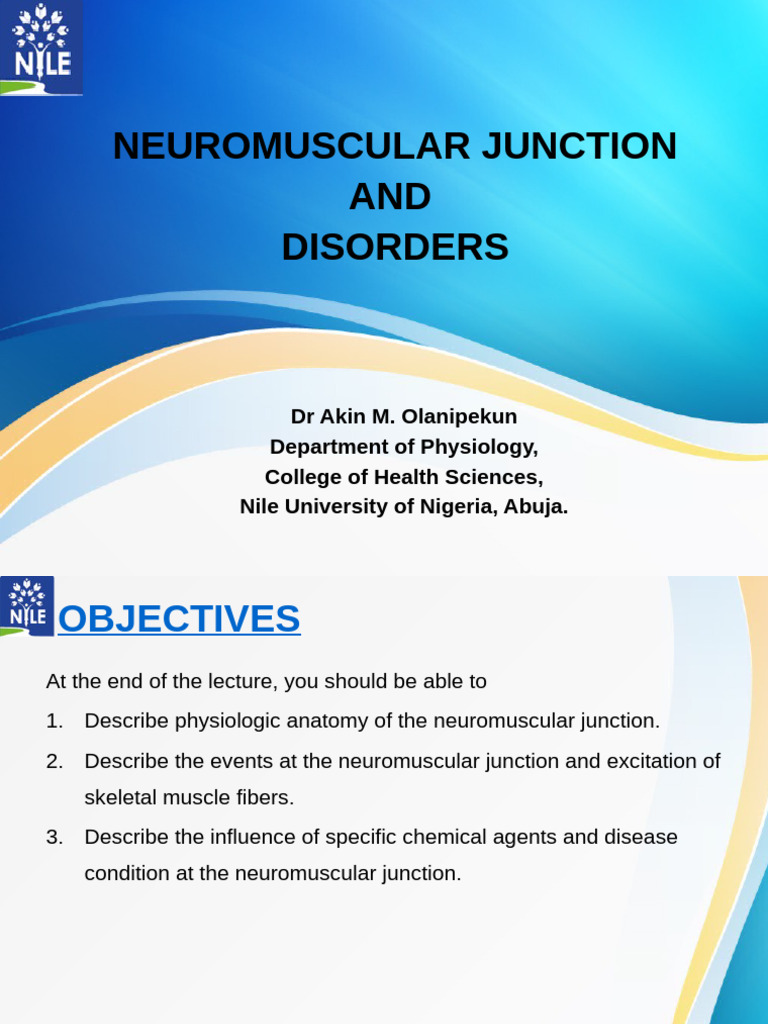 Neuromuscular Junction and Disorders Nun | PDF | Neuromuscular Junction ...