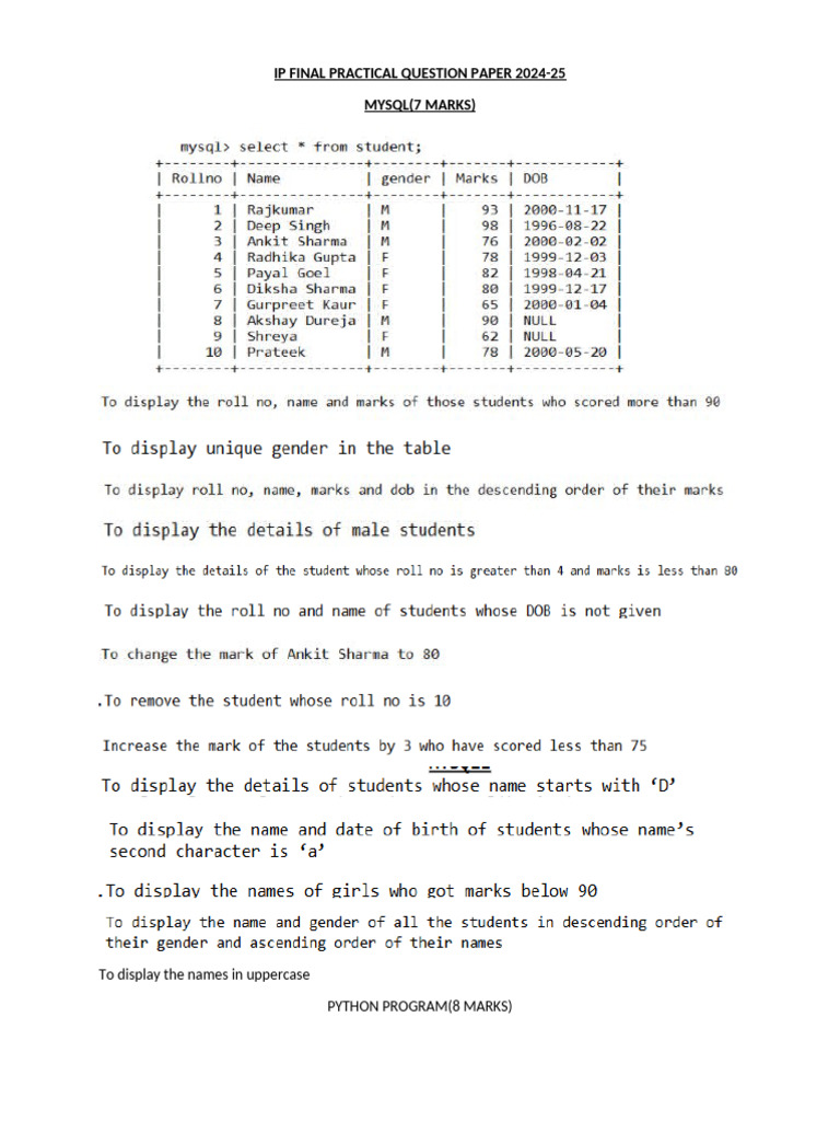 Ip Final Practical Question Paper 2024 | PDF