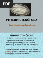 Ctenóforos | PDF | Anatomía | Zoología