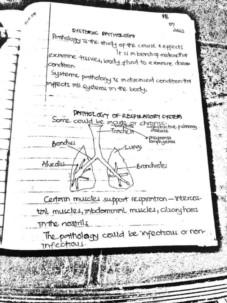 Classs Notes On Systemic Pathology | PDF