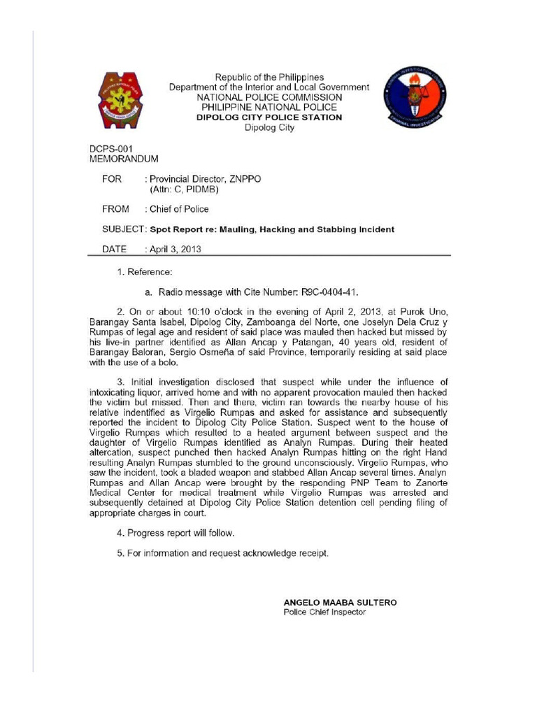 Sample. Spot Progress and Final Reports 2 | PDF