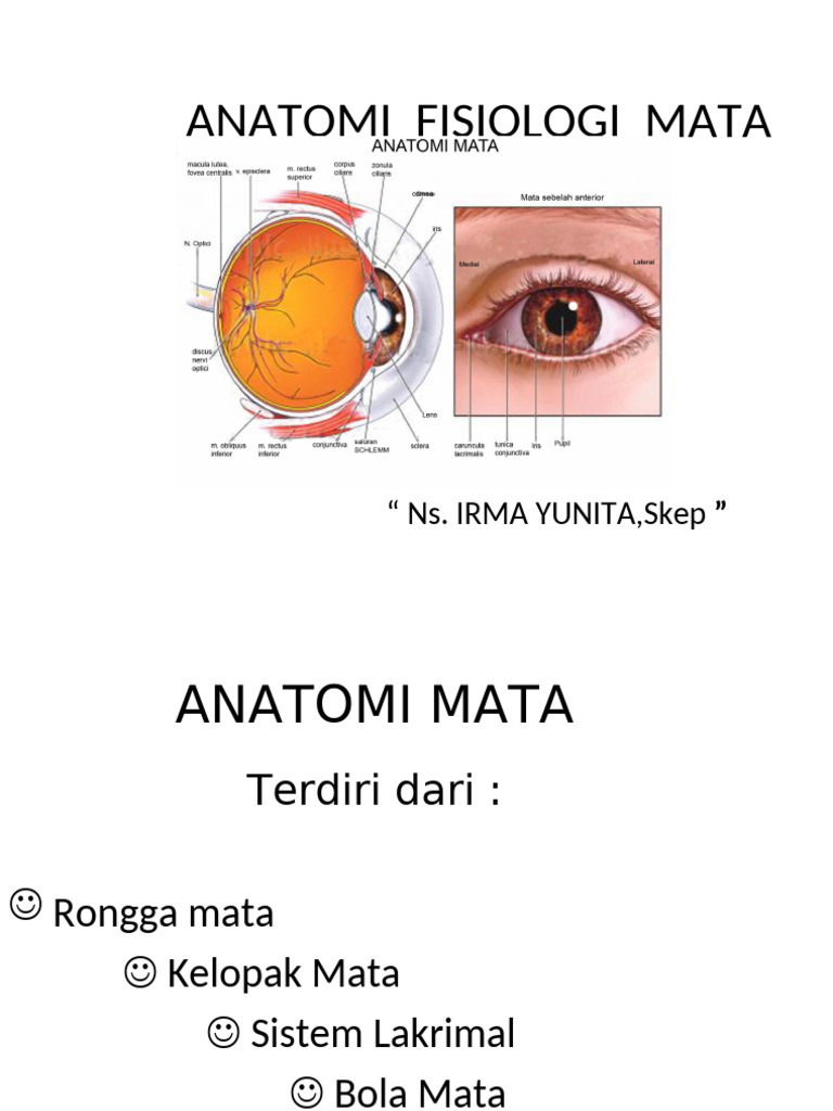 Kuliah Anatomi Fisiologi Mata | PDF