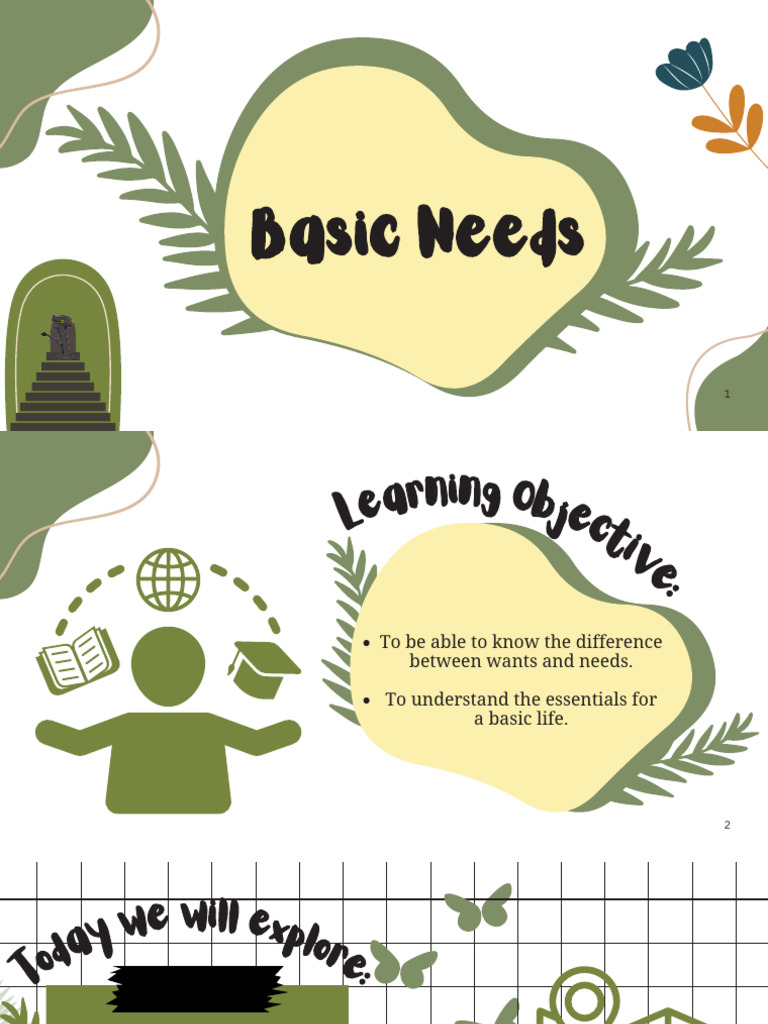 Basic Needs | PDF