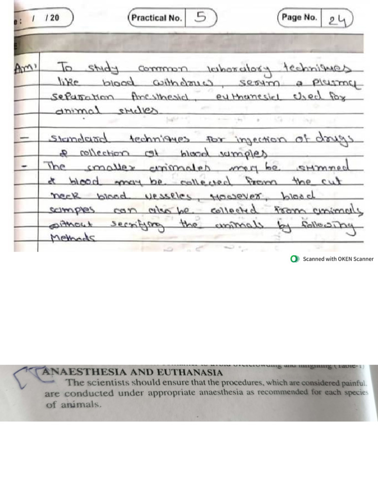 Practical - 5 P.cology | PDF