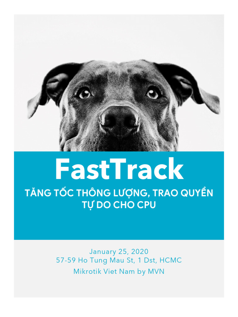Fast Track | PDF