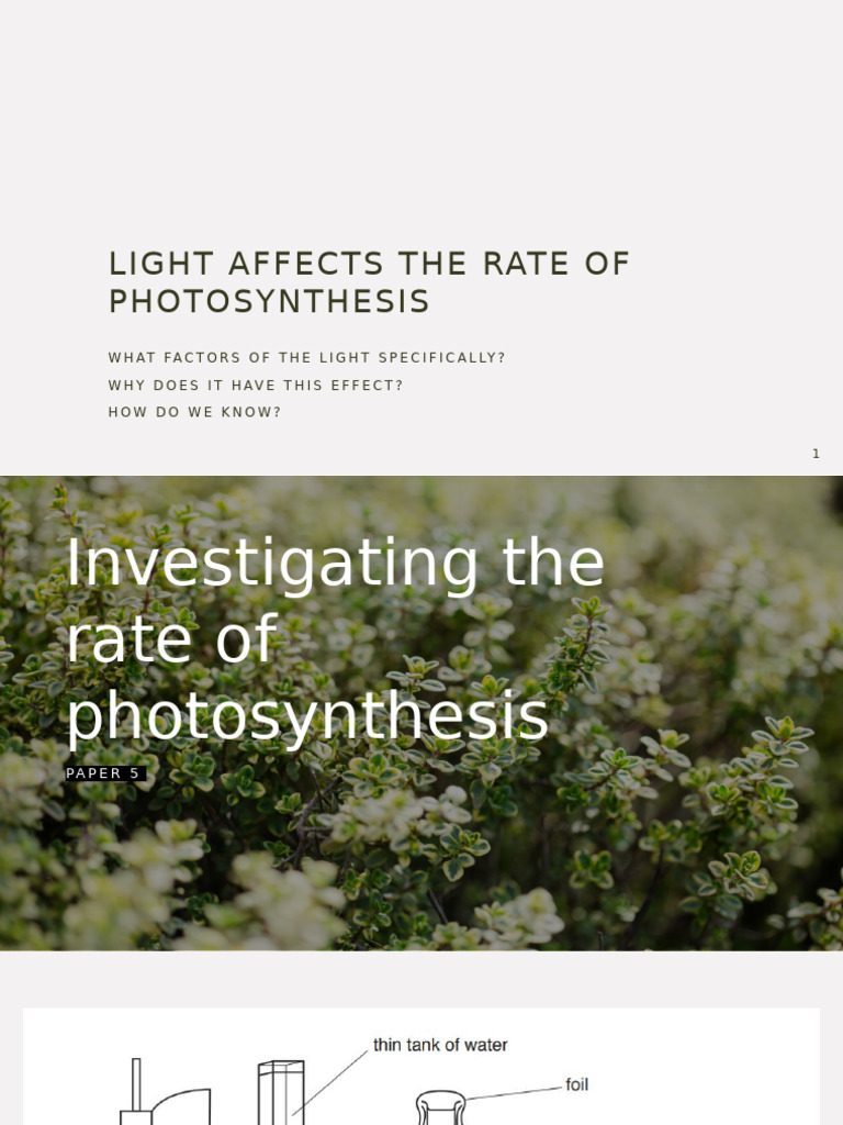 Investigating Rate of Photosynthesis | PDF