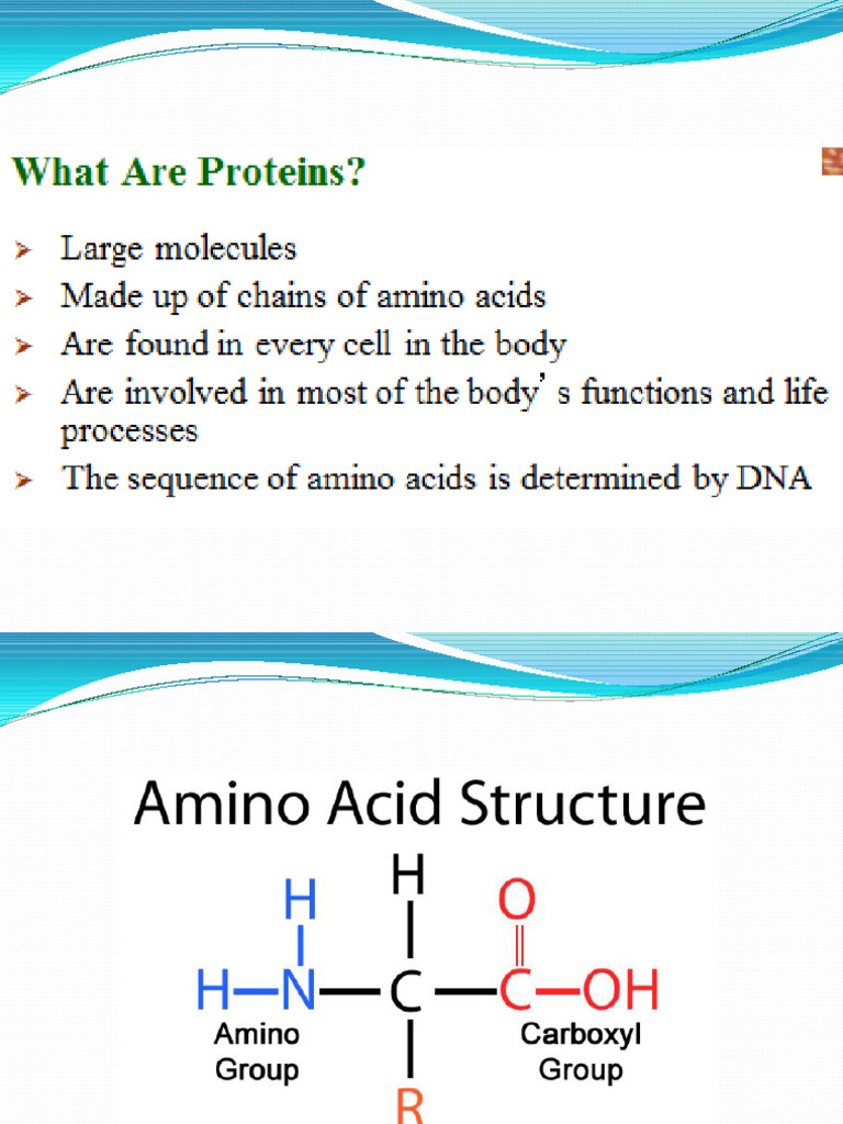 Biomolecules Proteins | PDF
