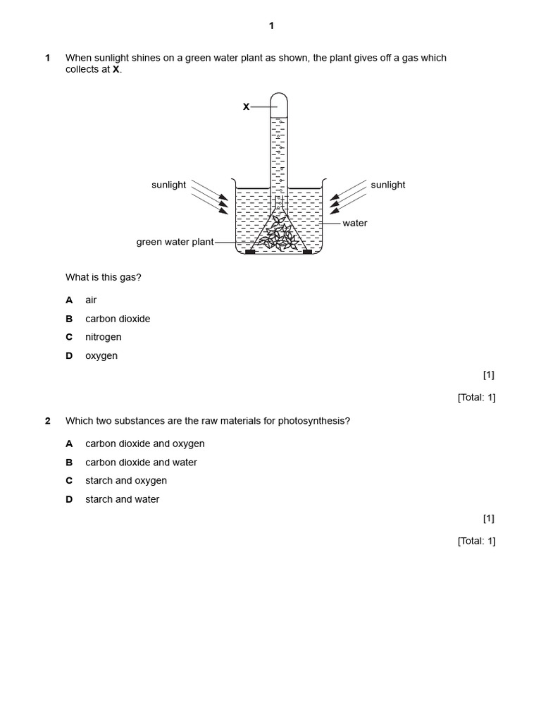 Photosynthesis and Leaf Structure Worksheet | PDF | Photosynthesis | Plants