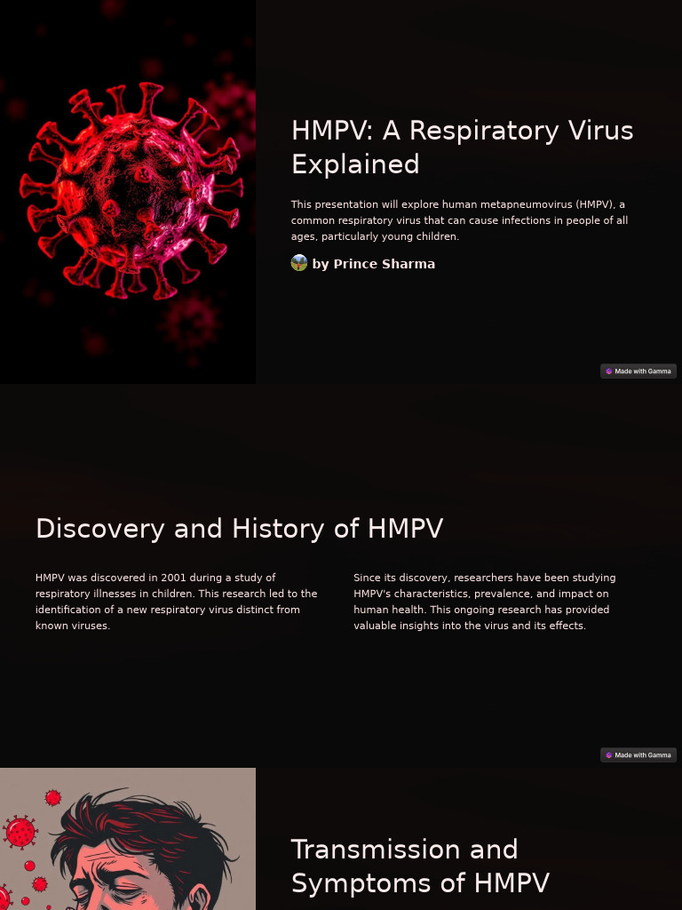 HMPV A Respiratory Virus Explained | PDF | Respiratory Diseases | Infection