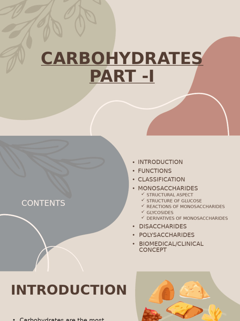 Understanding Carbohydrates: Types & Functions | PDF | Carbohydrates ...