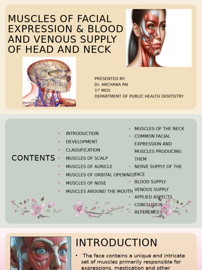 Muscles of Face | PDF | Human Nose | Lip