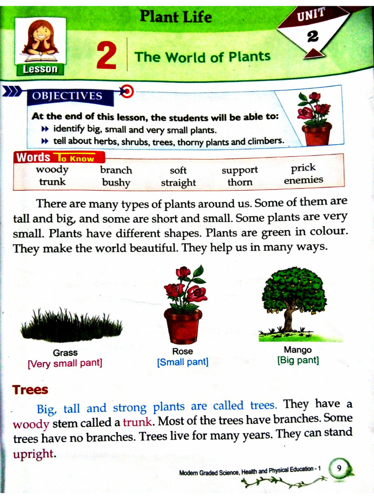 Class 1 Lesson 2 | PDF