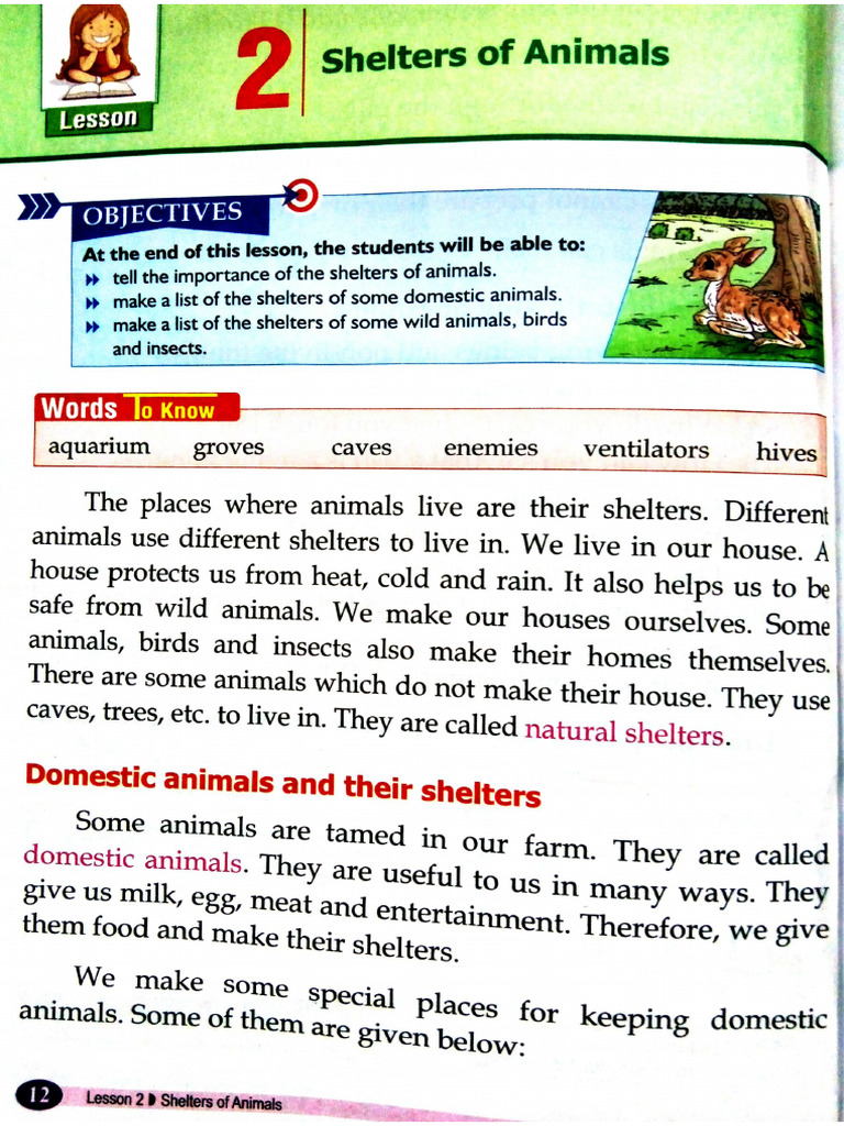 Class 3 Lesson 2 | PDF